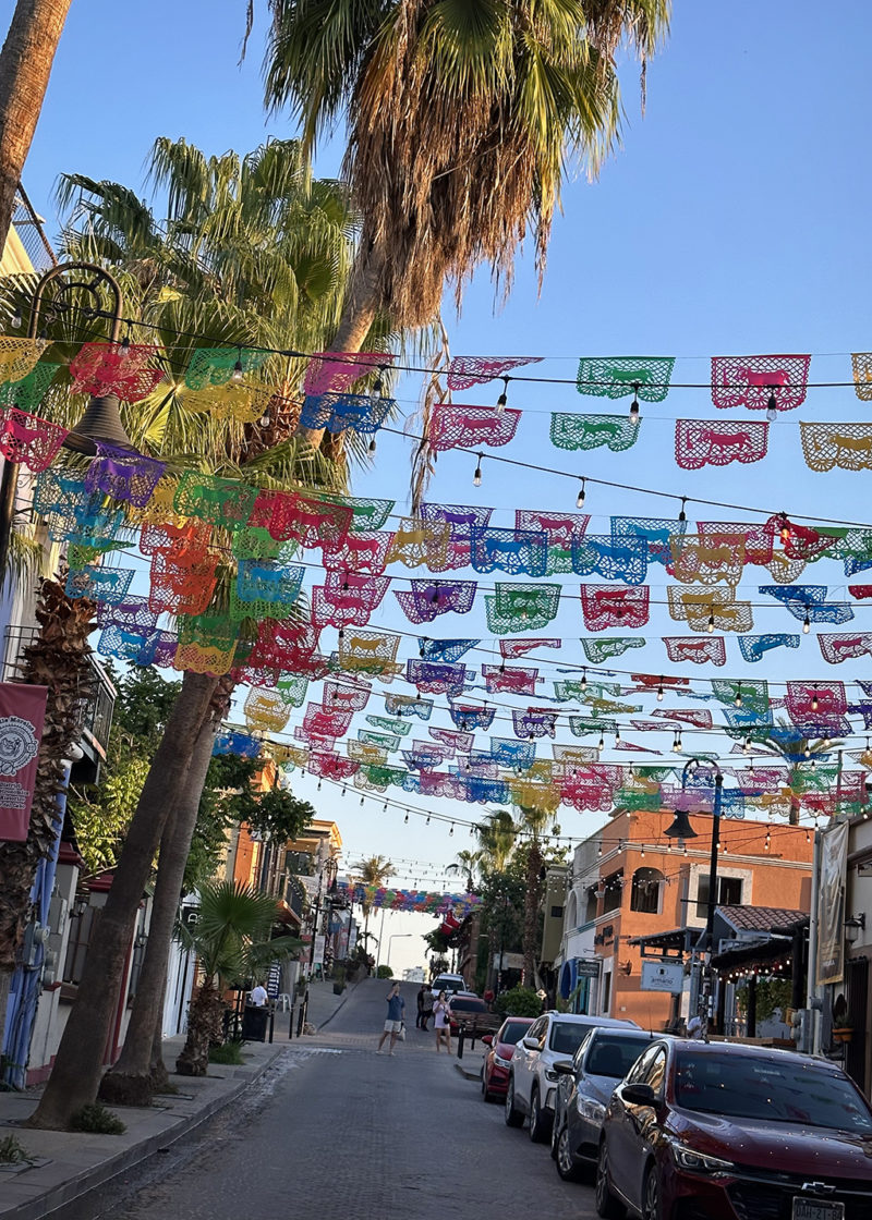 Our Blissful Getaway to Cabo Mexico - Chic Over 50